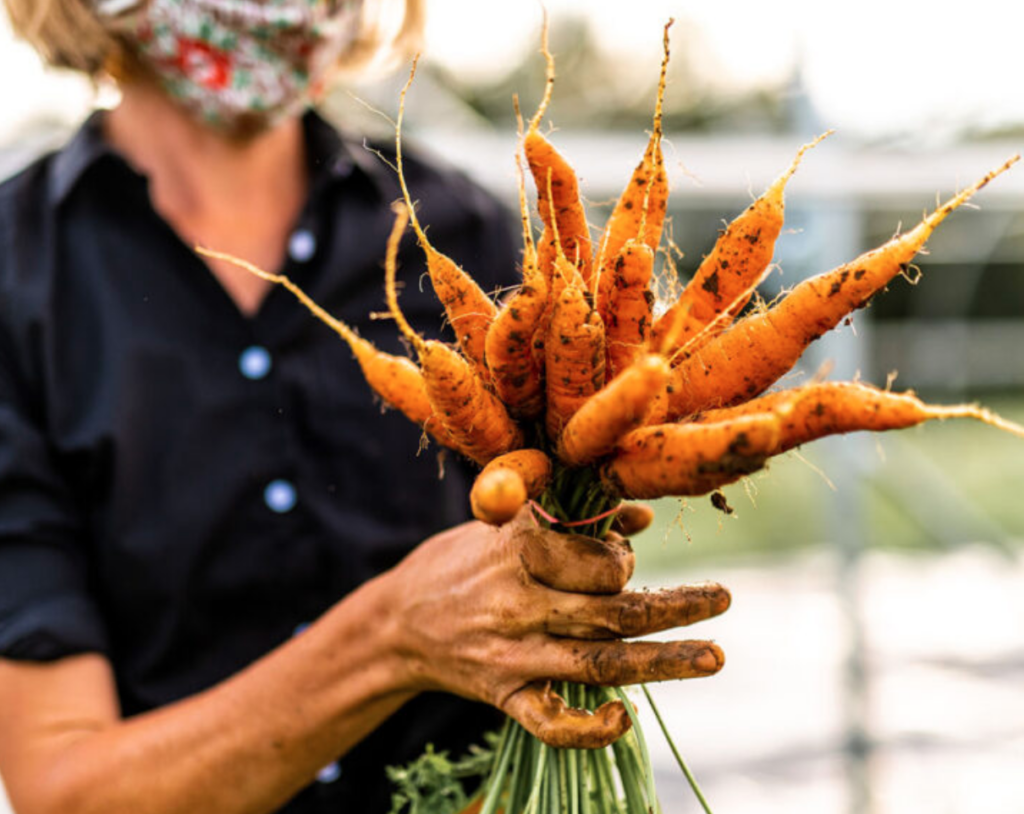 Sustainable Food Loop - Sustainability · Sustainability · Lafayette College